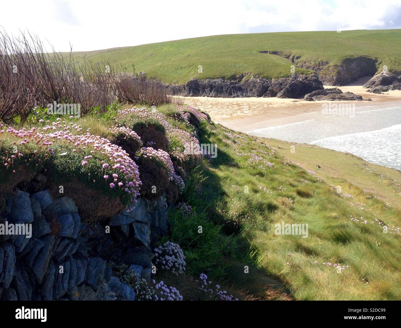 Cornish Path Moss High Resolution Stock Photography and Images - Alamy
