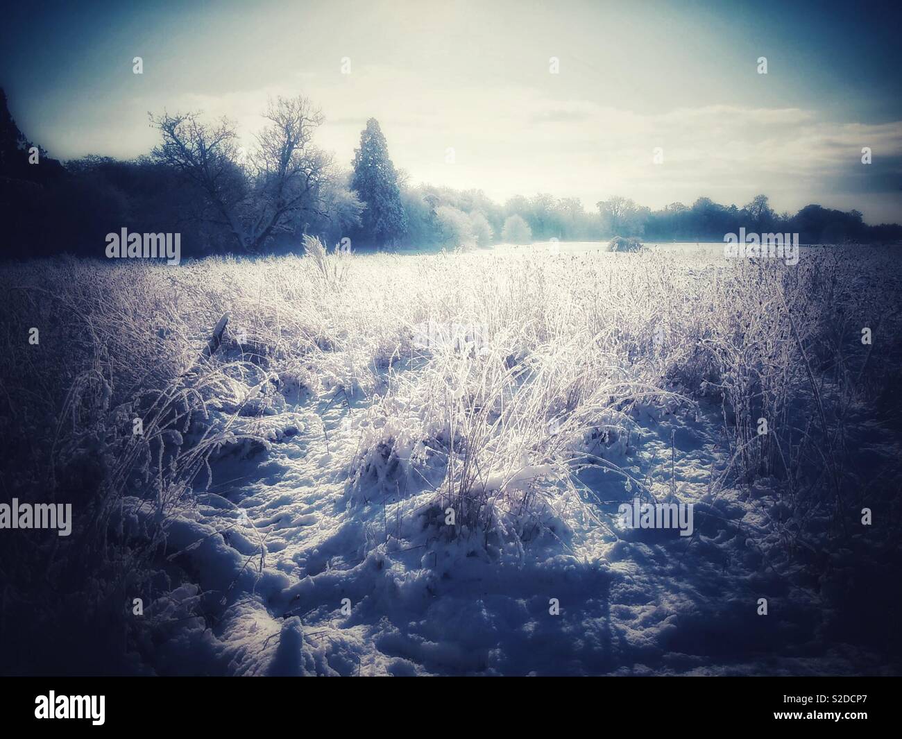 Catton Park in Snow Stock Photo - Alamy