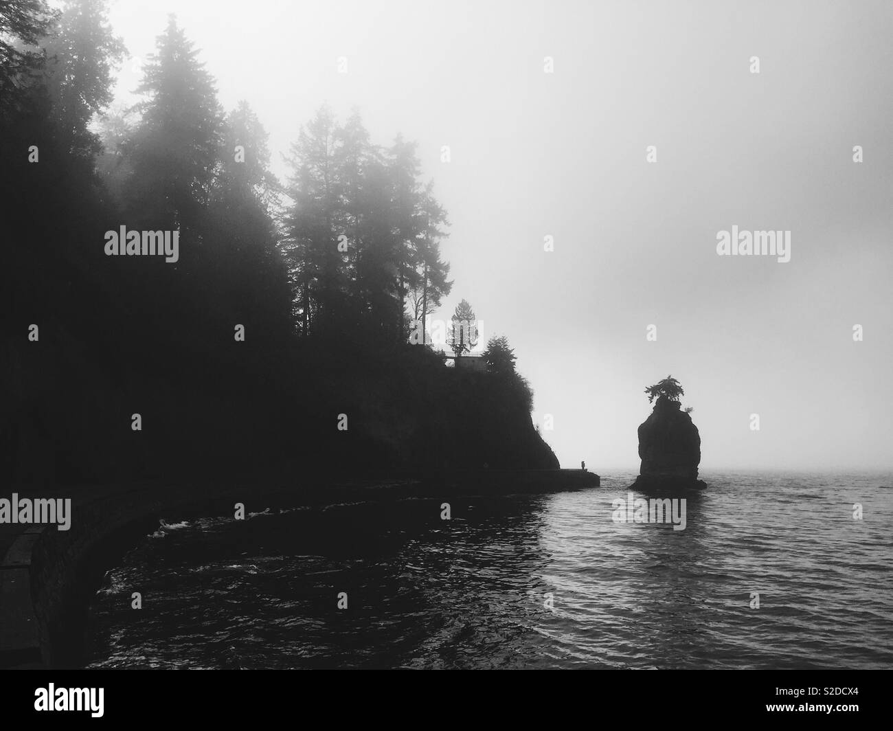View of the cliff side on the water front of Stanley Park, Vancouver ...