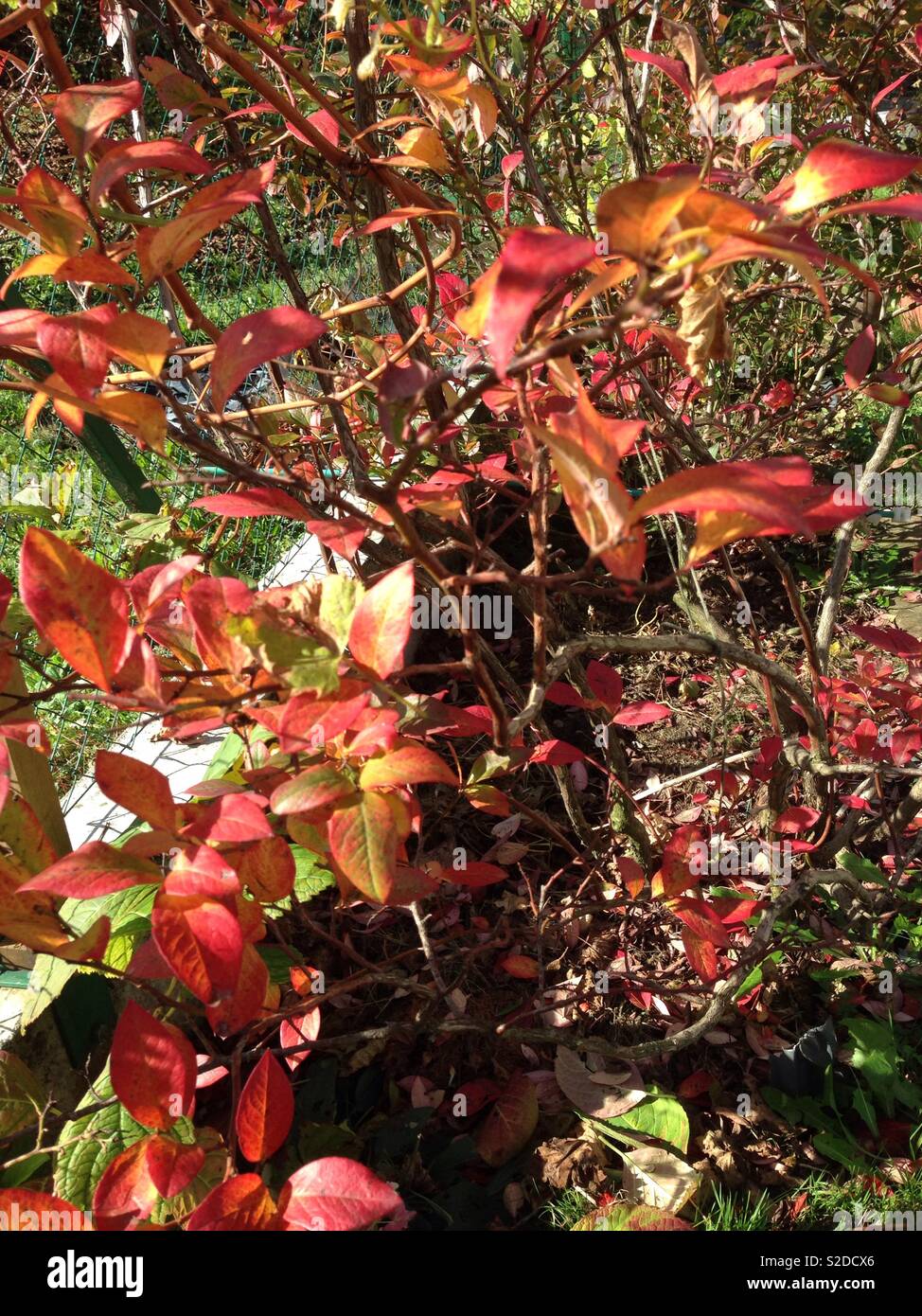 Various features hi-res stock photography and images - Alamy