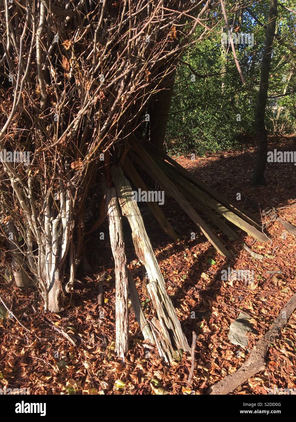 Bush shelter hi-res stock photography and images - Alamy