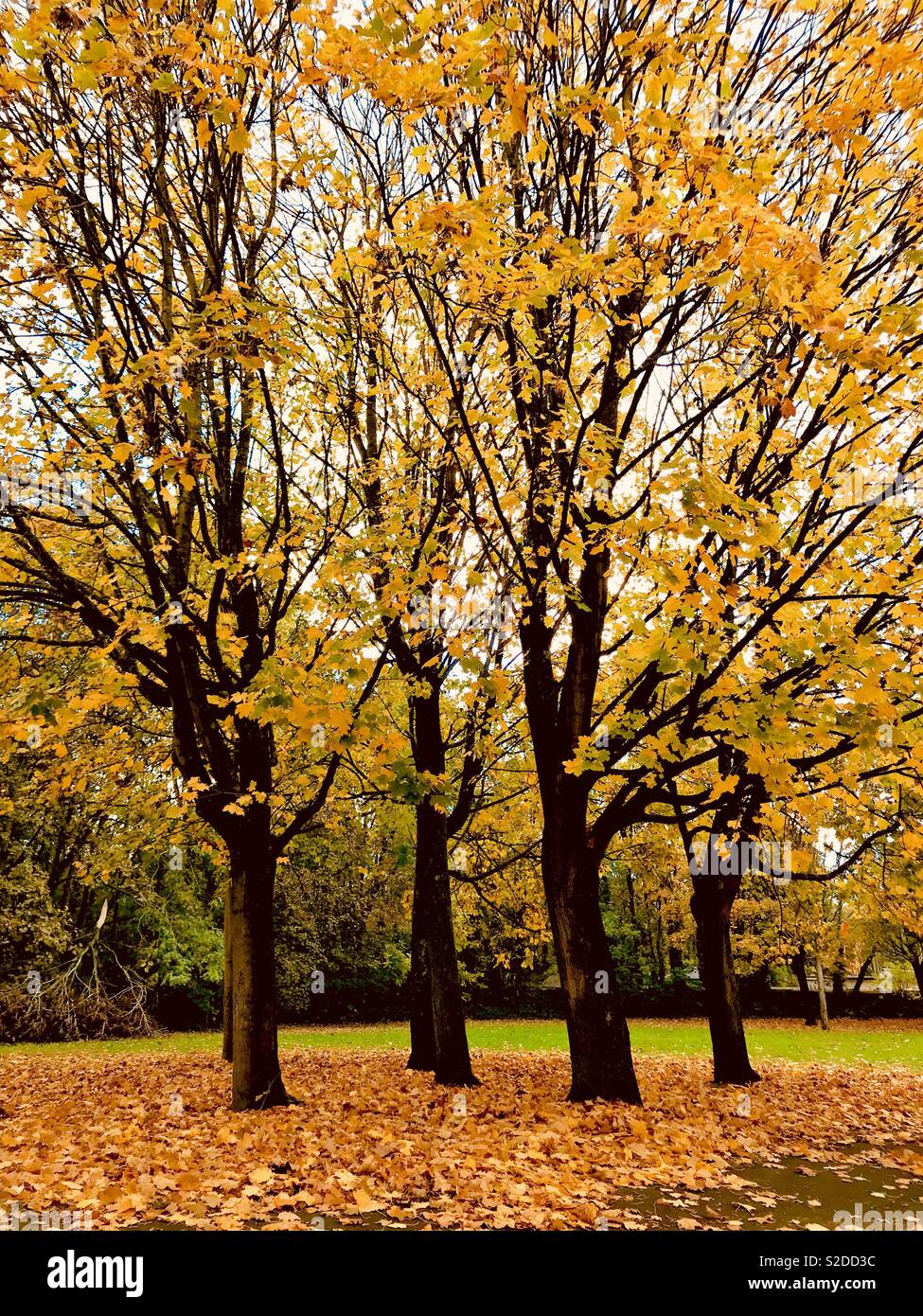 Colour scenery hi-res stock photography and images - Alamy