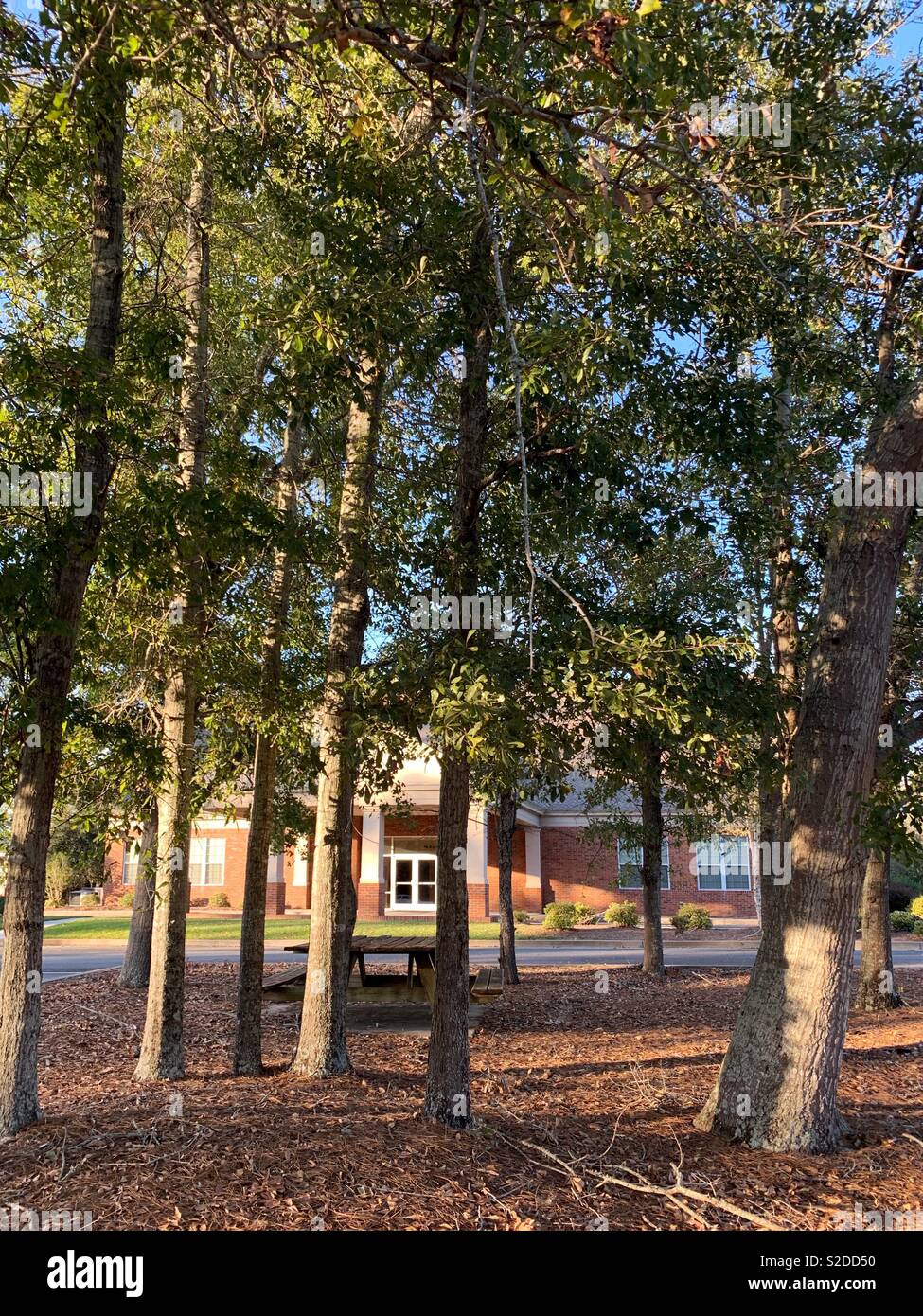 House behind trees hi-res stock photography and images - Alamy