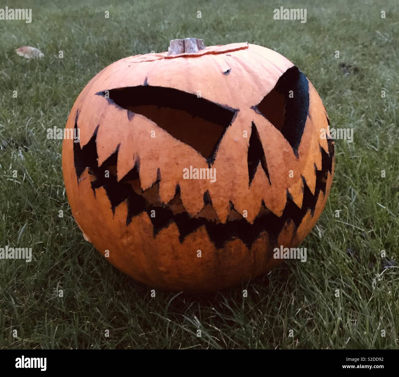 Scary pumpkin on grass hi-res stock photography and images - Alamy