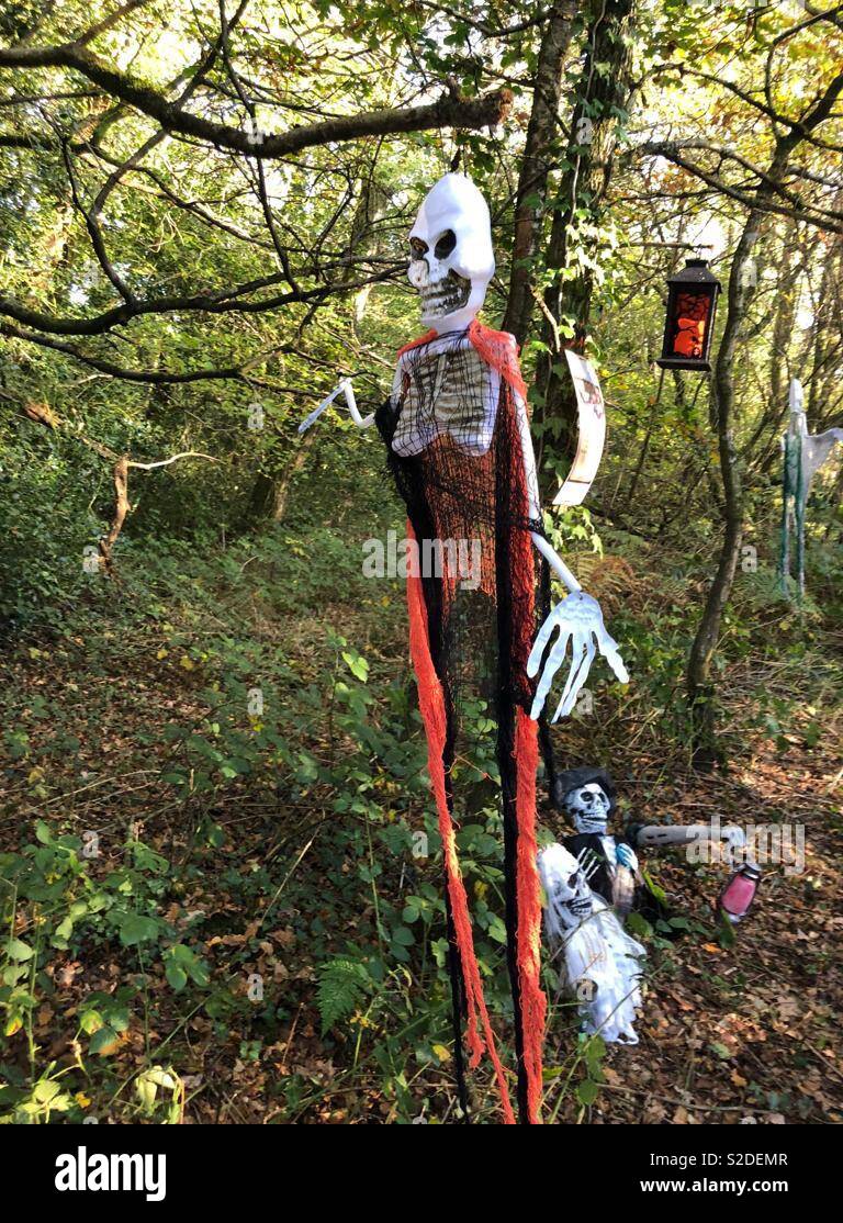 Halloween , scary trail in the woods Stock Photo - Alamy