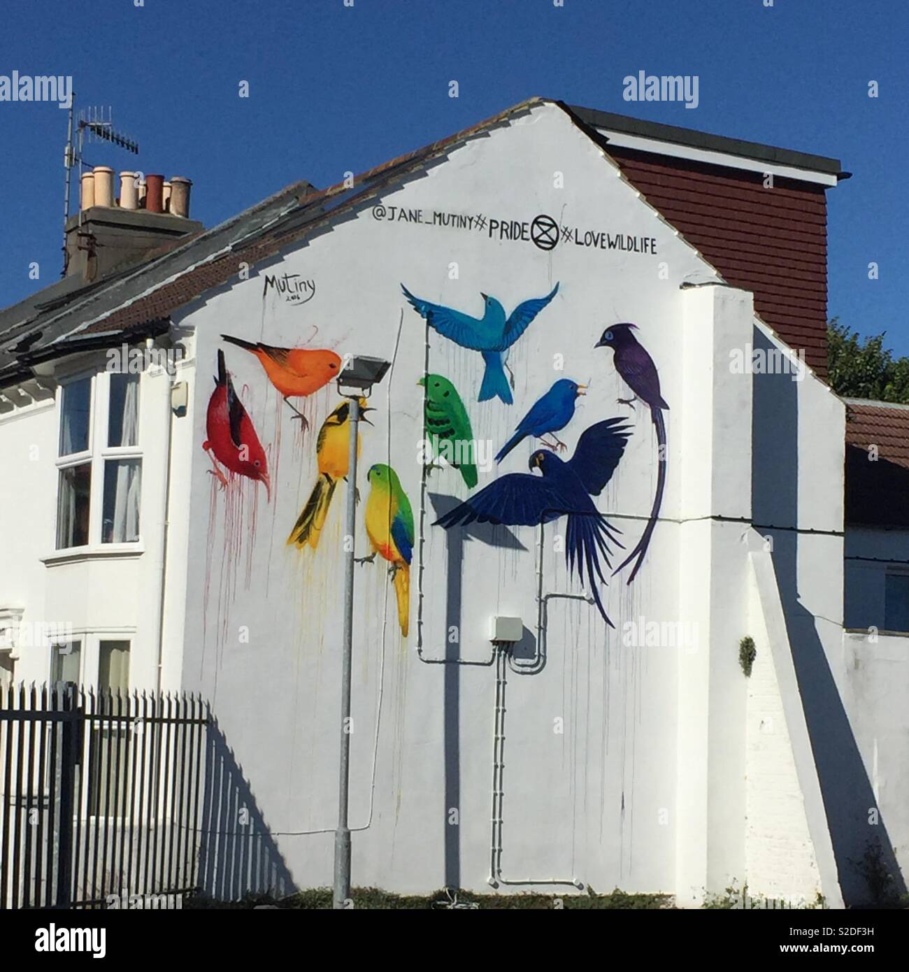 Bird mural hi-res stock photography and images - Alamy