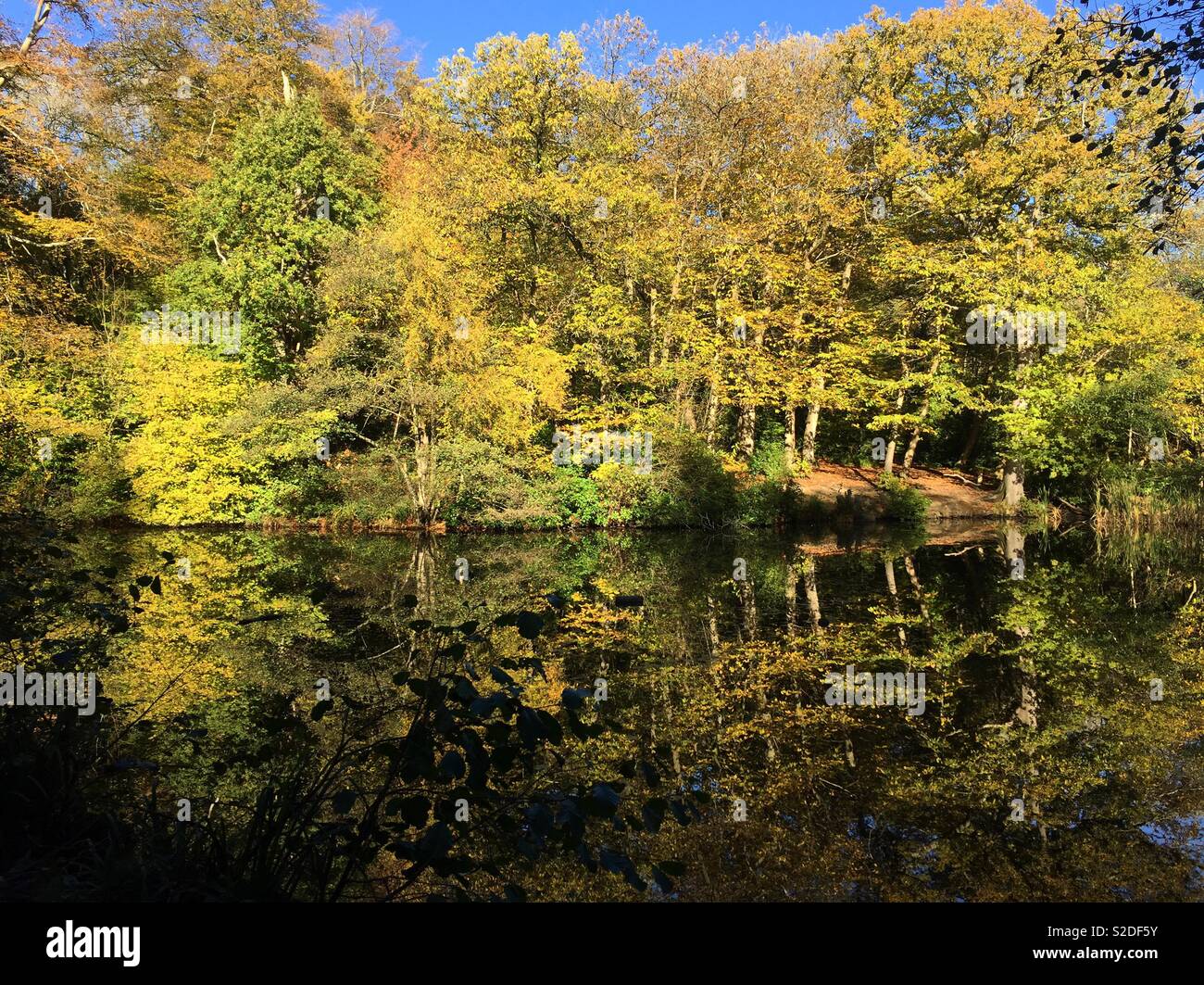 Sunshine symmetry hi-res stock photography and images - Alamy