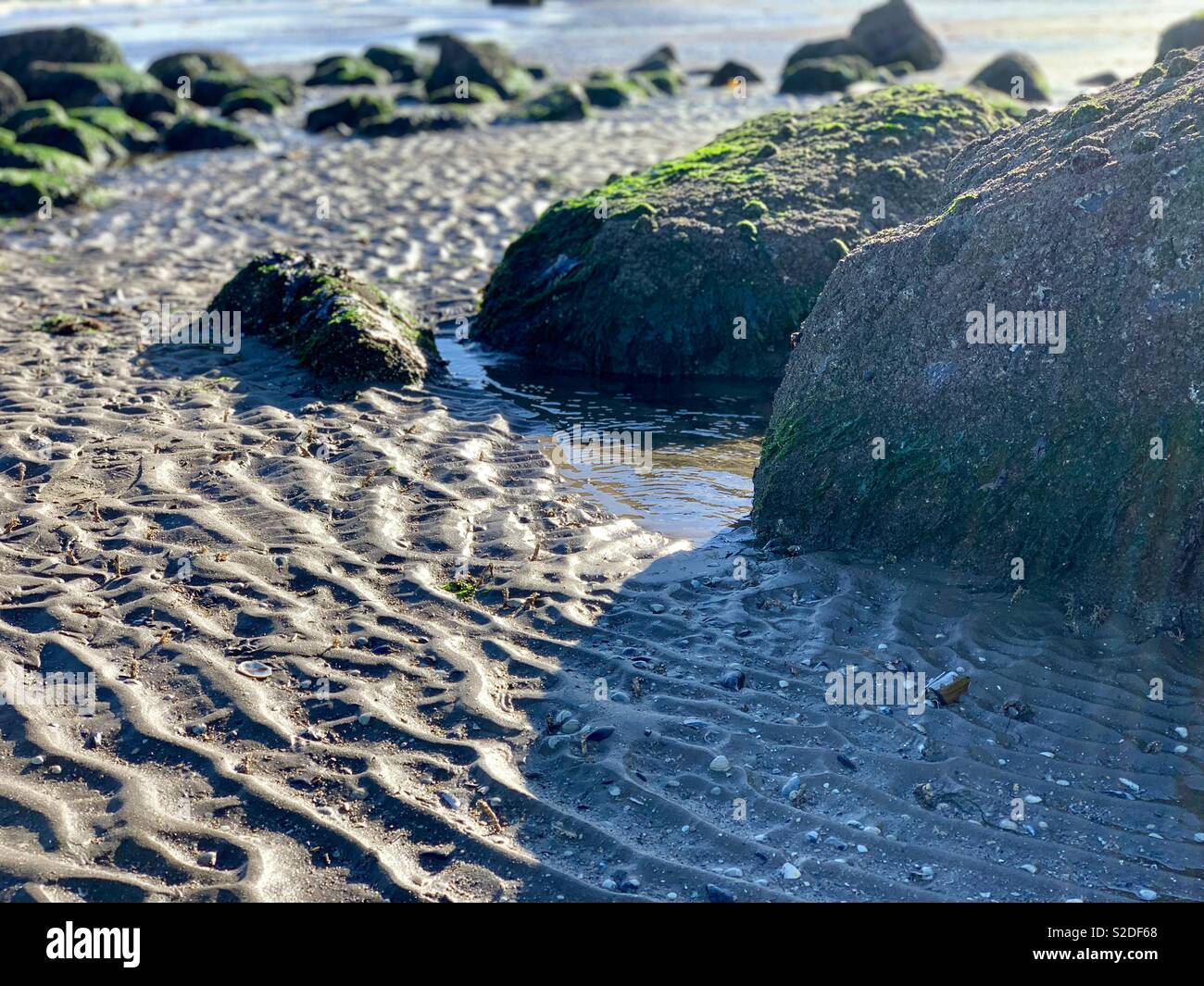 Receding tide exposes rocks on a beach in Edinburgh Stock Photo - Alamy