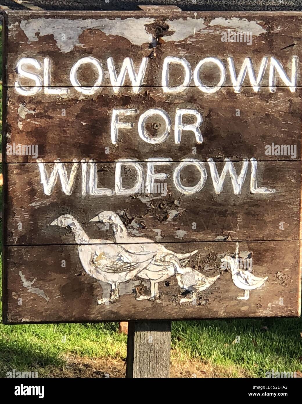Slow down wildfowl crossing sign on wooden post Stock Photo - Alamy