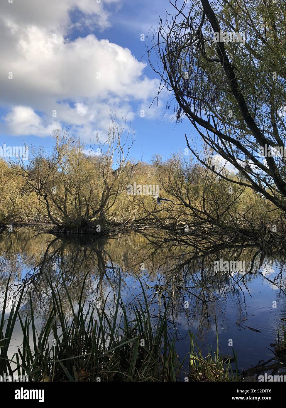 Lochend High Resolution Stock Photography and Images - Alamy