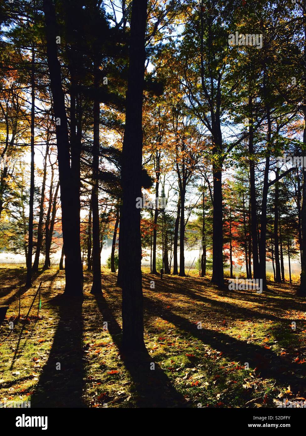 Fall of earth hi-res stock photography and images - Alamy