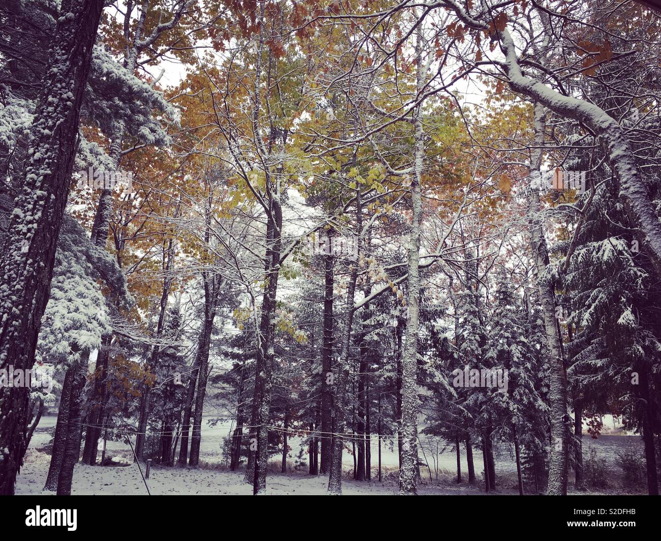 Nature Color Splash Stock Photo - Alamy