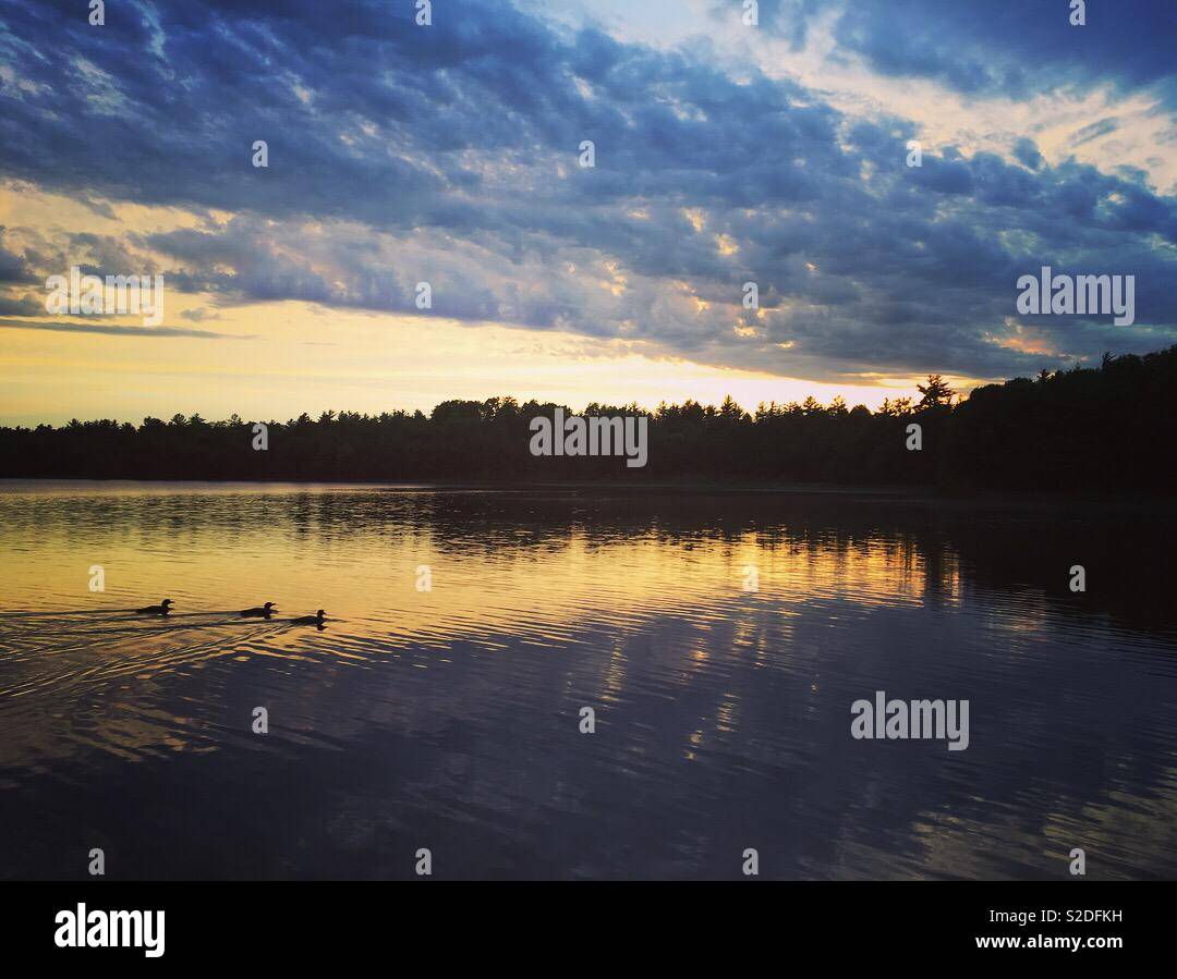 Boulder junction hi-res stock photography and images - Alamy