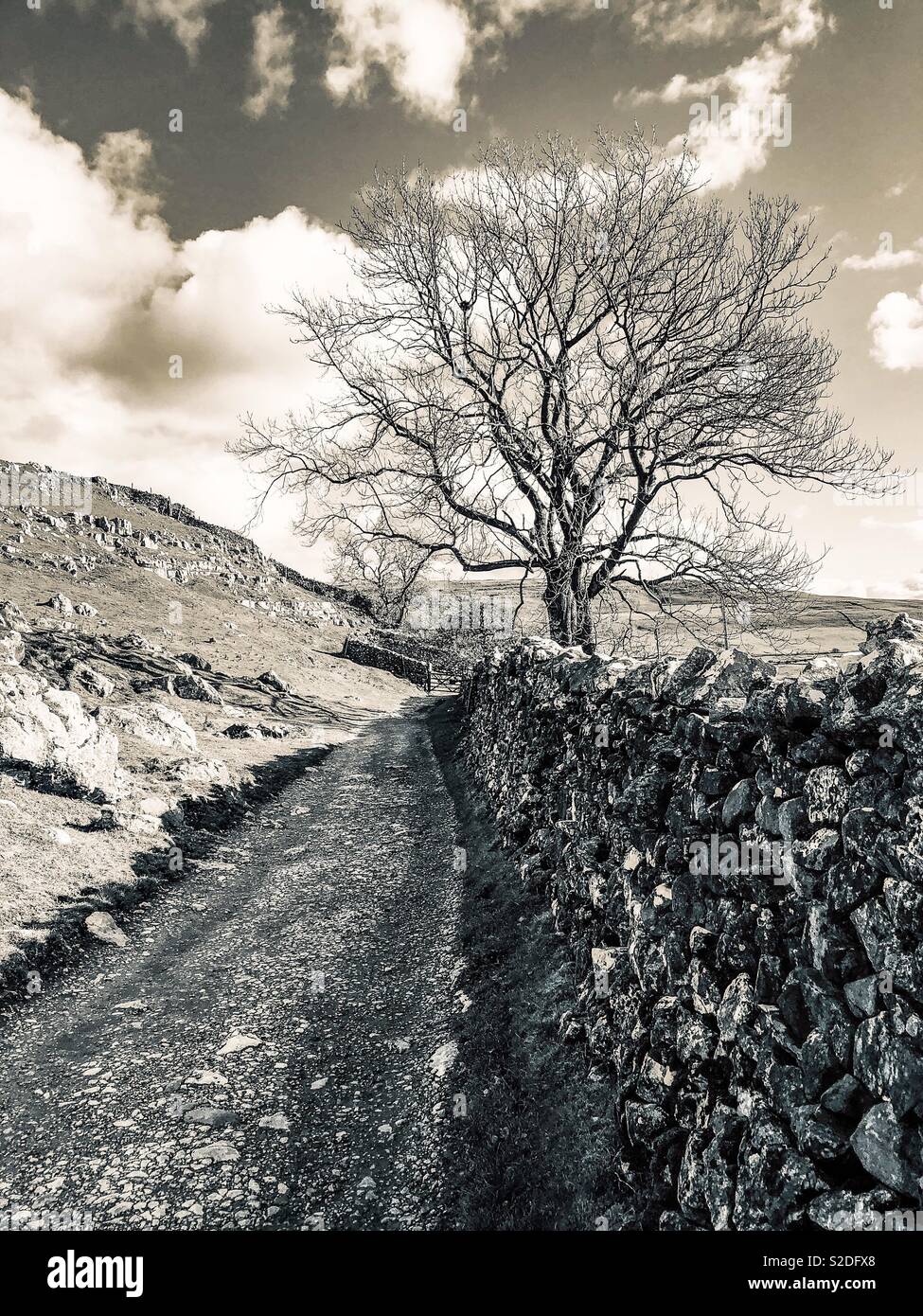 Stone wall alongside road hi-res stock photography and images - Alamy