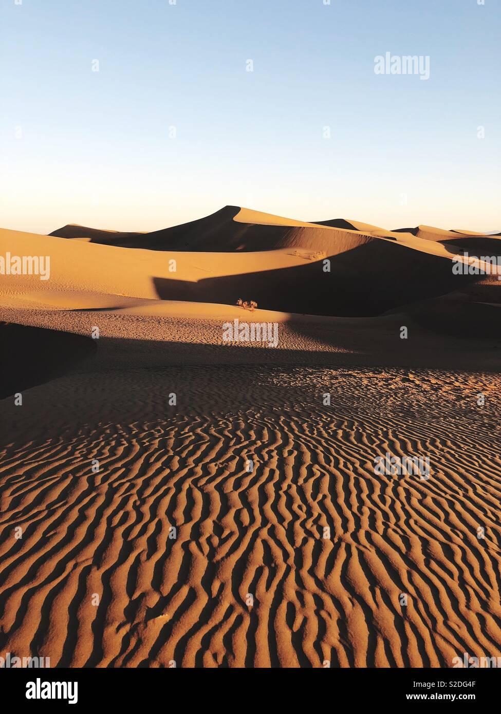 Sunrise in the desert with clear sky Stock Photo - Alamy
