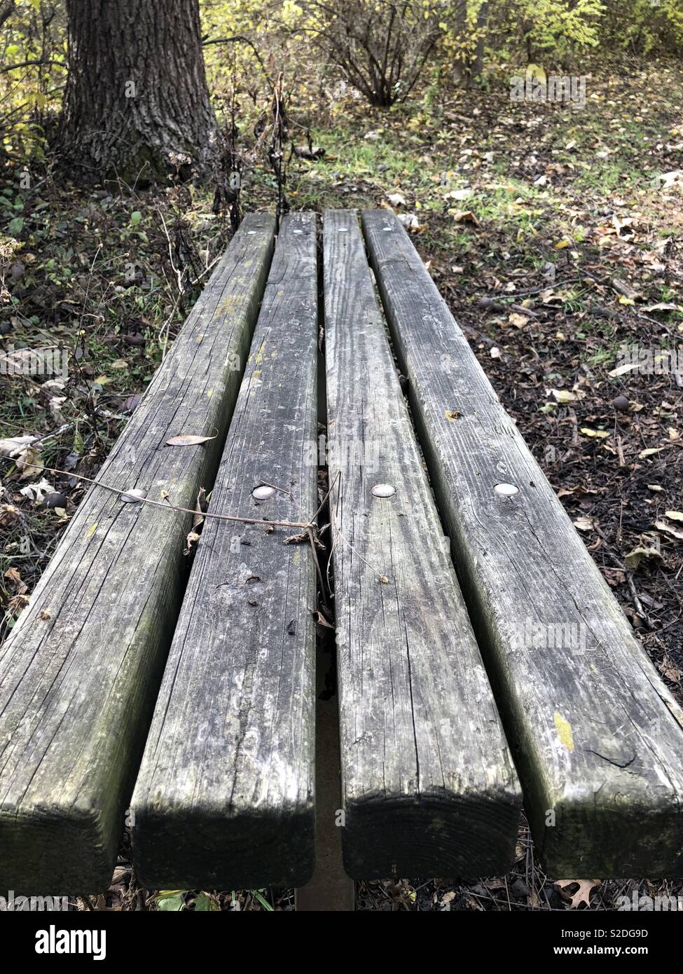 Empty sitting bench hi-res stock photography and images - Alamy