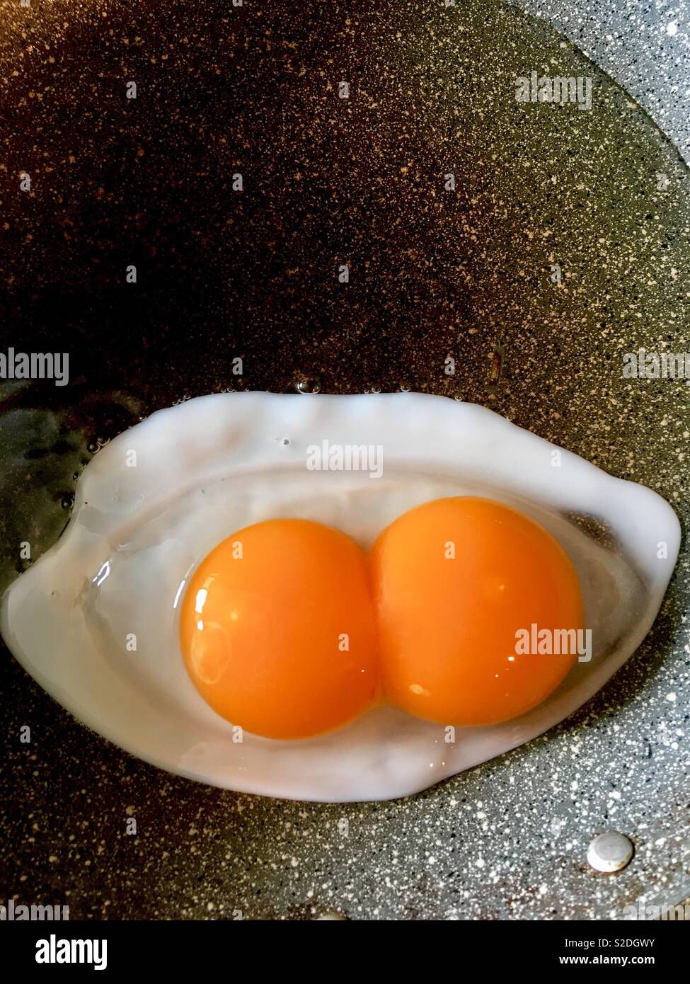 Double yolk egg hi-res stock photography and images - Alamy
