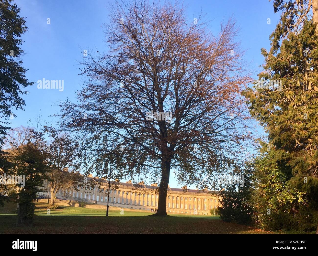 Autumn in Bath Stock Photo - Alamy