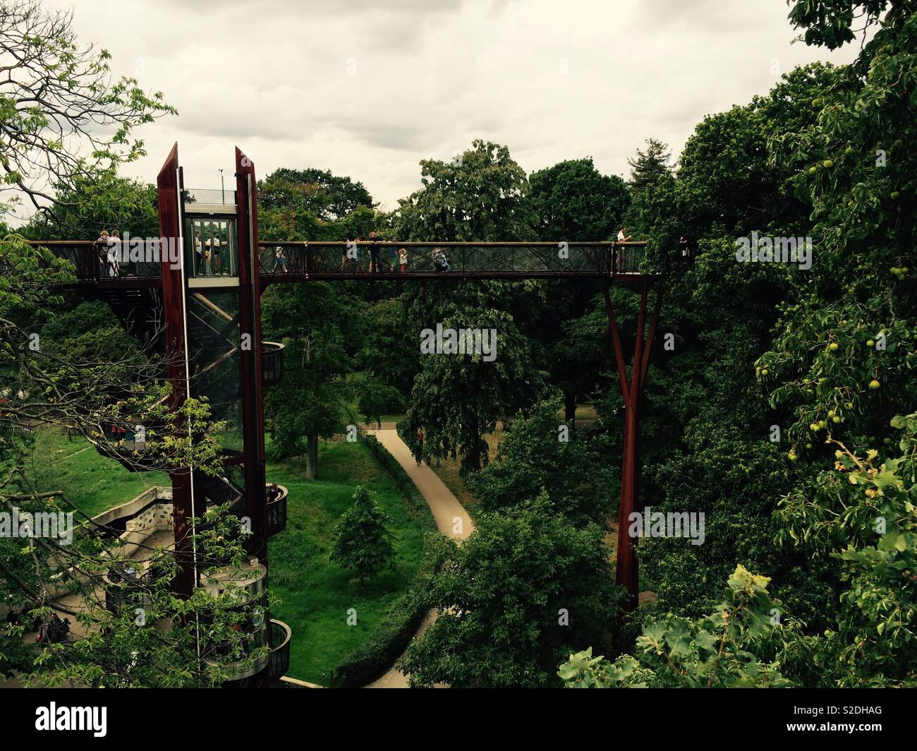 High bridge scene in the woods Stock Photo - Alamy