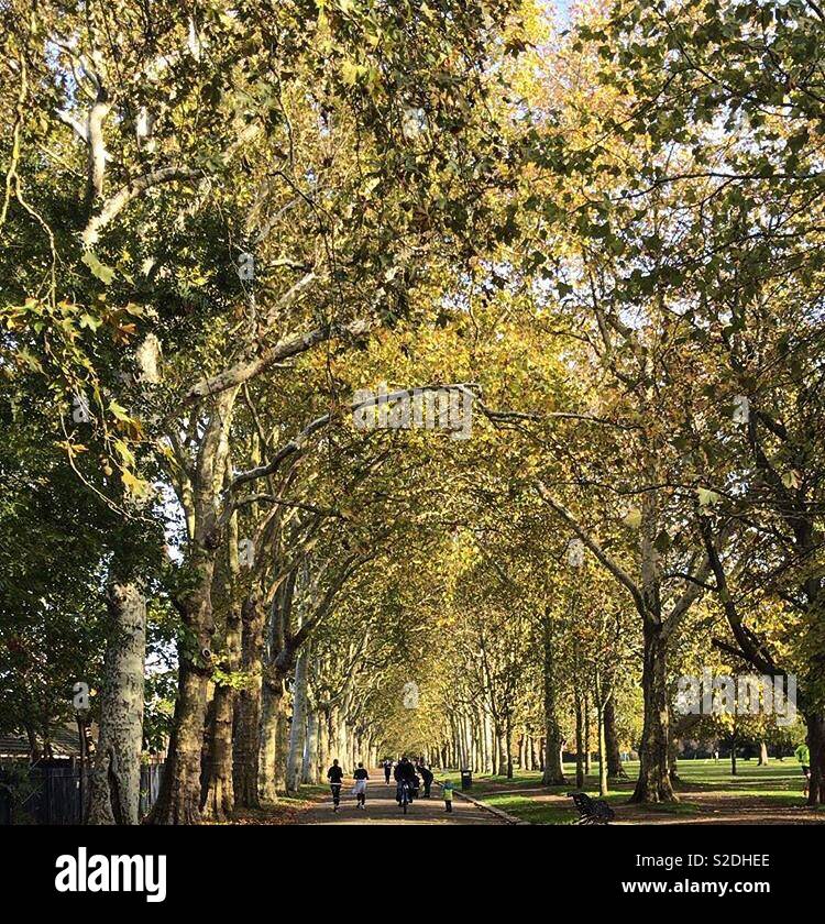 Stroll stroll europe hi-res stock photography and images - Alamy