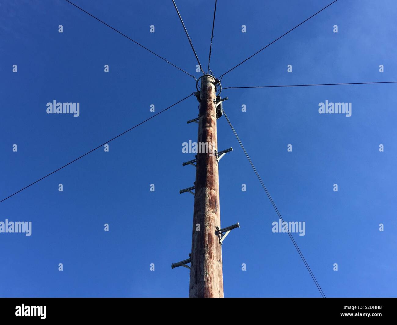 Ladder and telegraph pole hi-res stock photography and images - Alamy