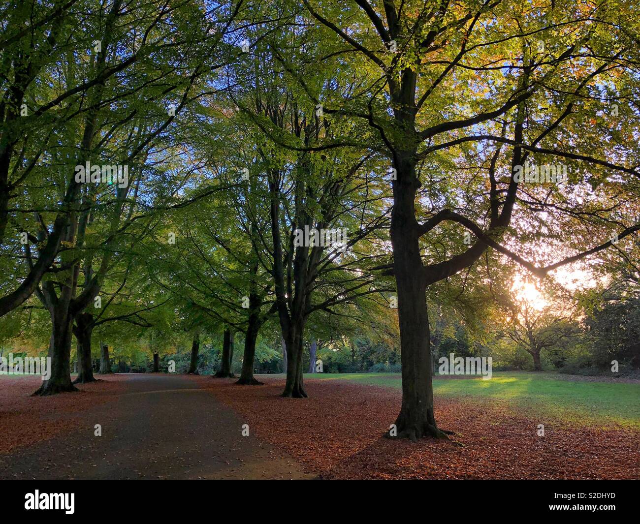 Clifton, Bristol in Autumn Stock Photo - Alamy