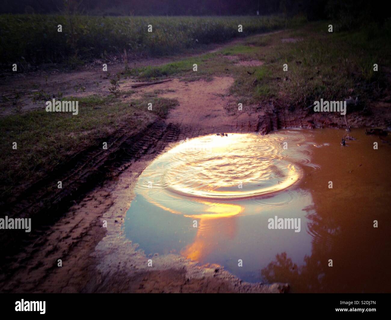 Glowing vapor trail reflected in puddle ripples at sundown Stock Photo ...