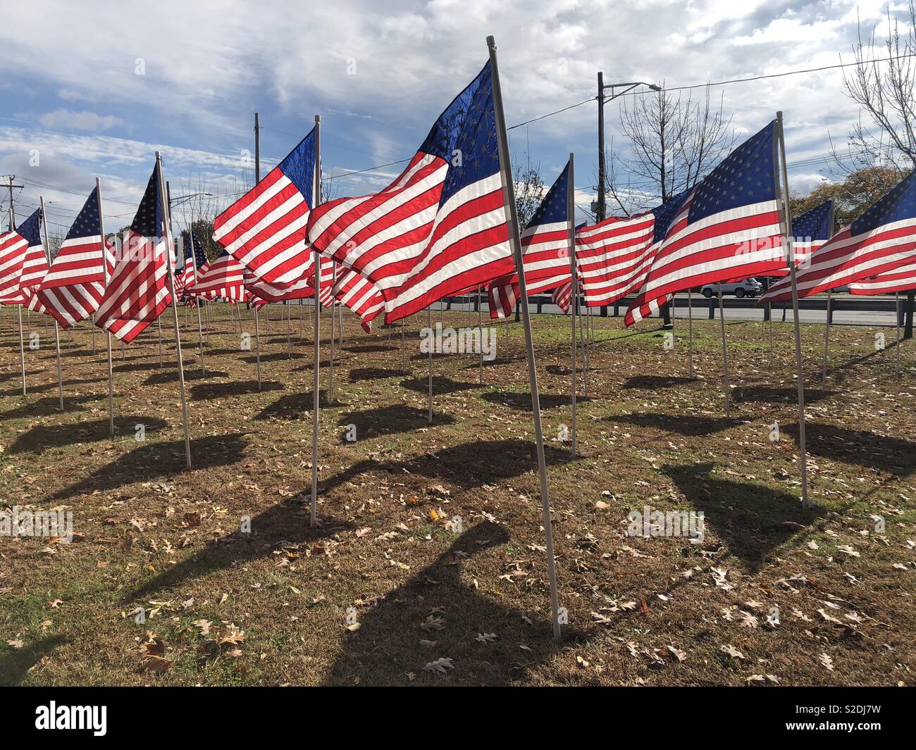 Field of american flags hi-res stock photography and images - Alamy