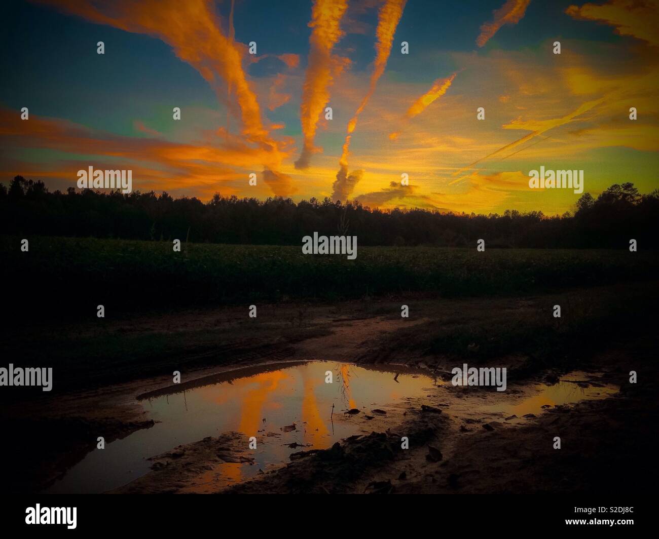 Glowing vapor trails and cloud formations reflect in farm water puddle ...