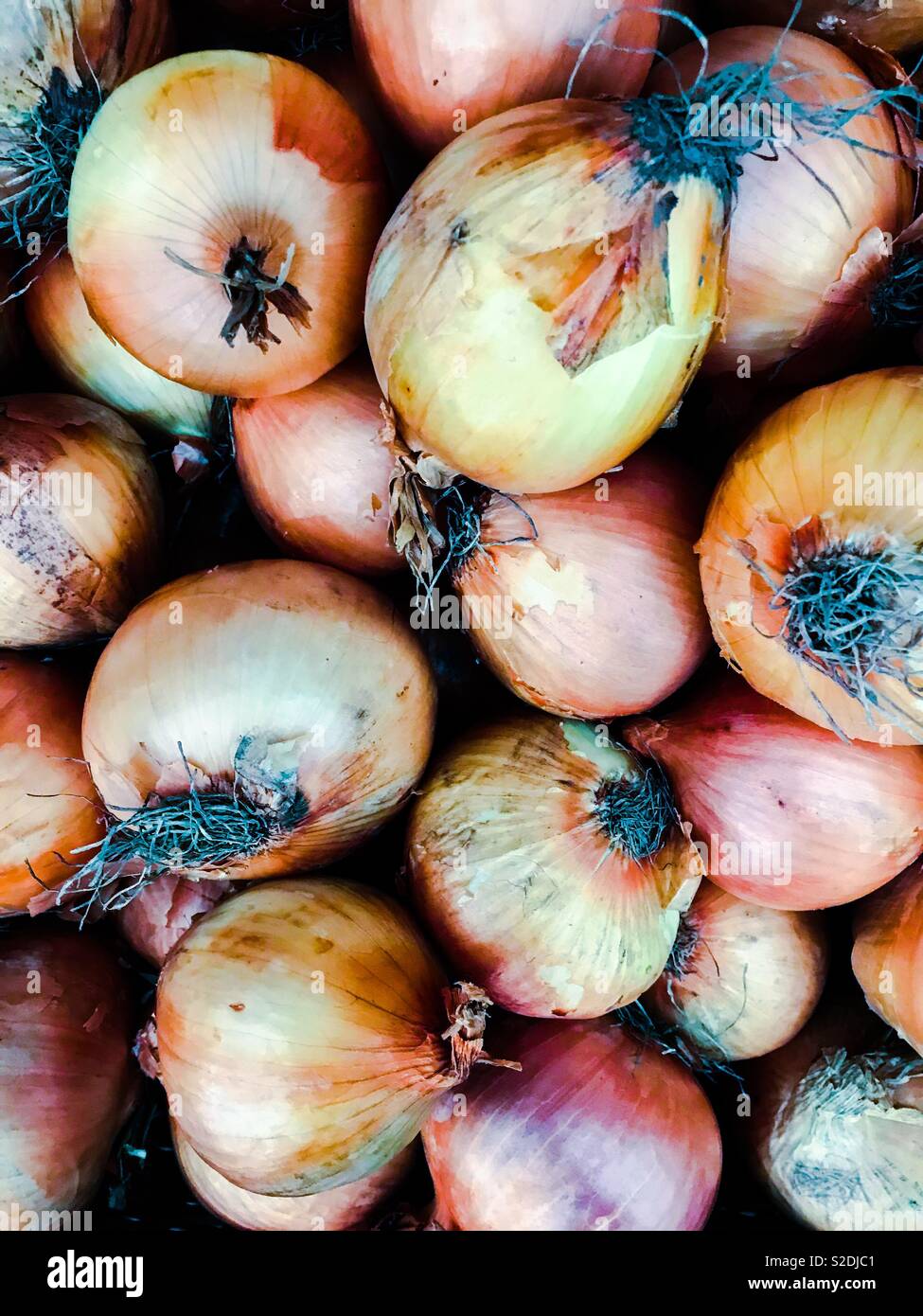 Spanish vegetables hi-res stock photography and images - Alamy