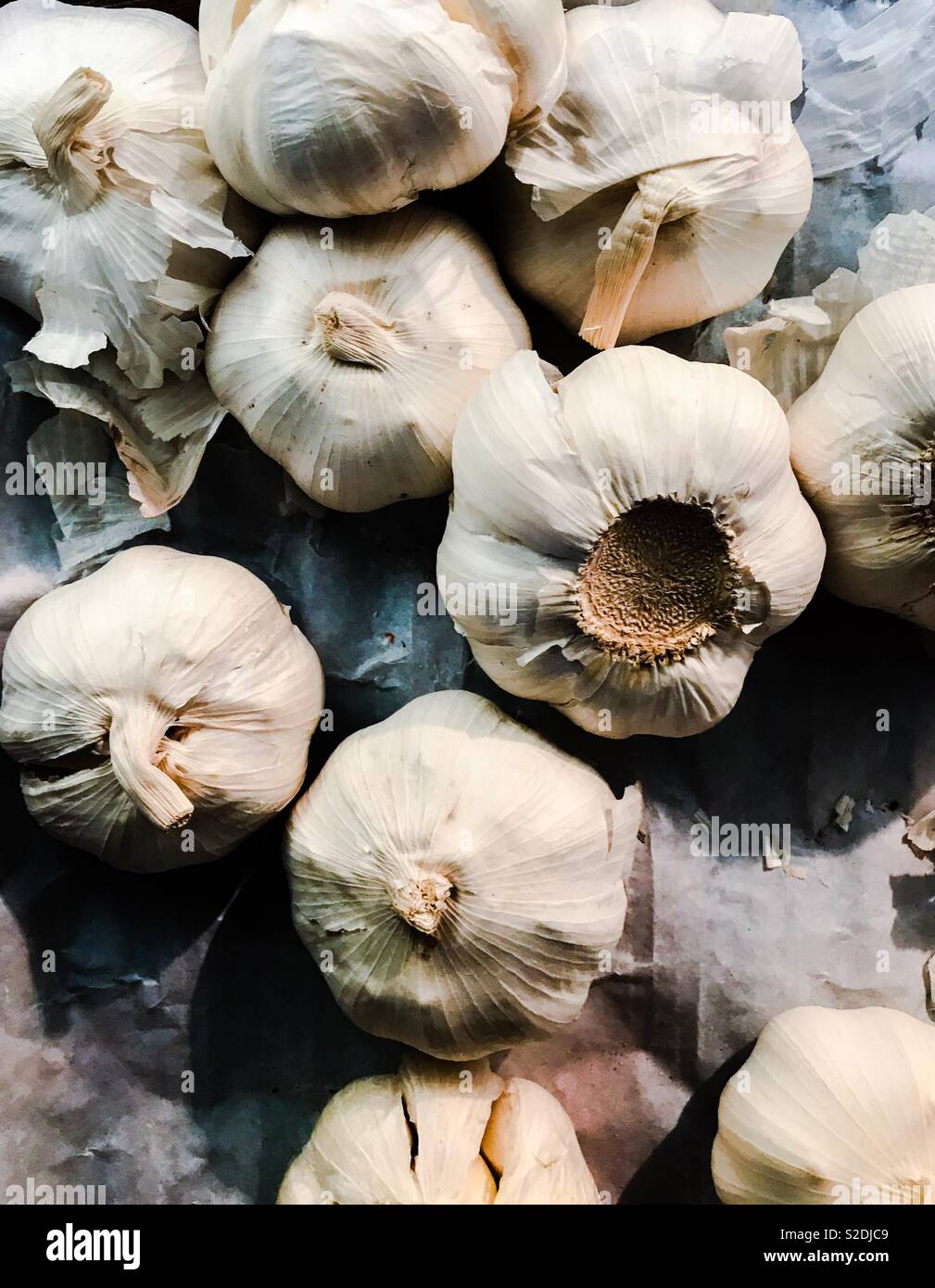 Clove of garlic Stock Photo - Alamy