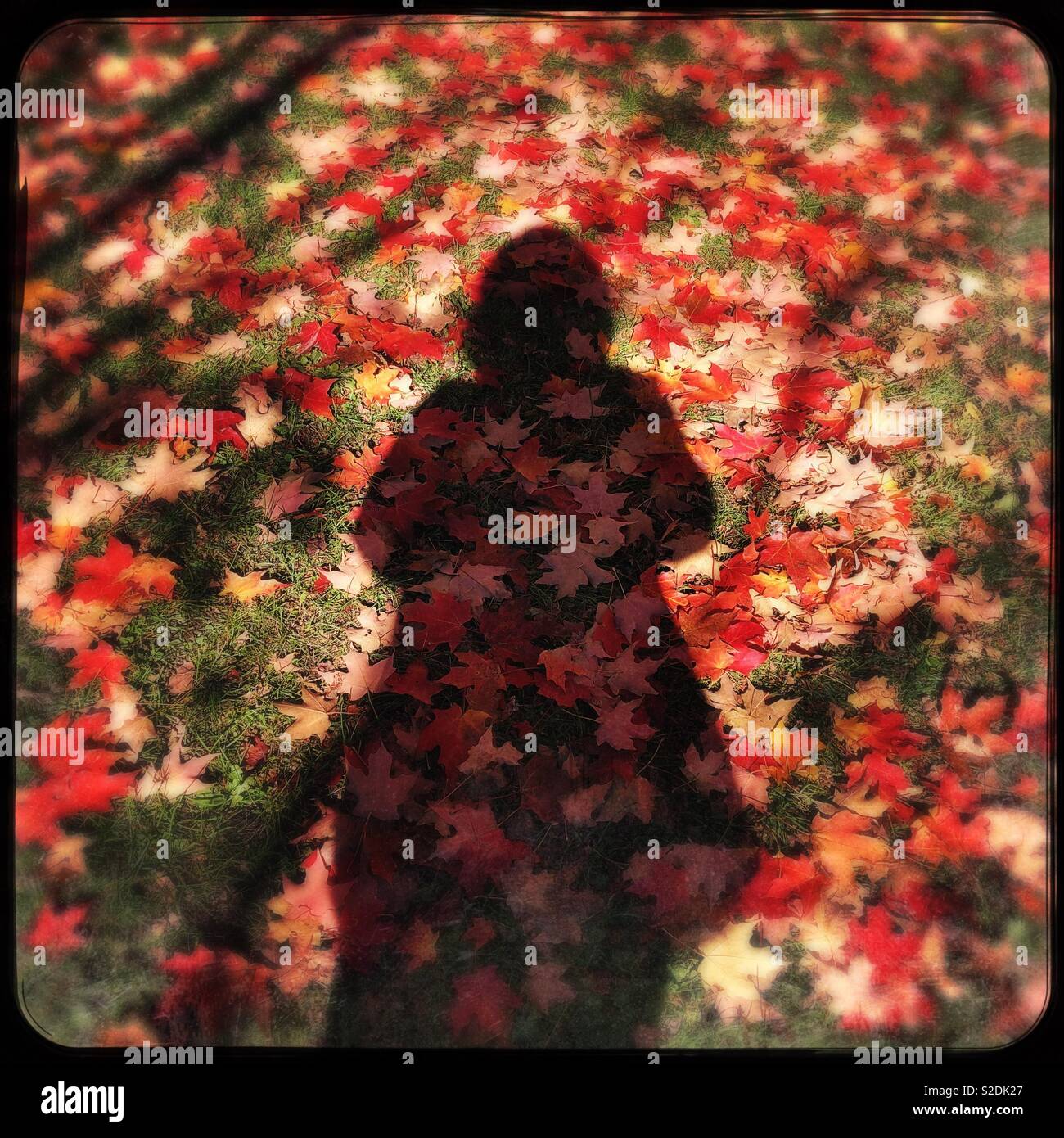 Me and my shadow Stock Photo - Alamy