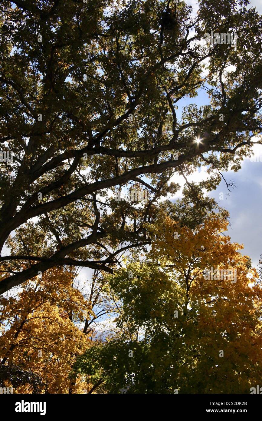 Midwestern landscape hi-res stock photography and images - Alamy