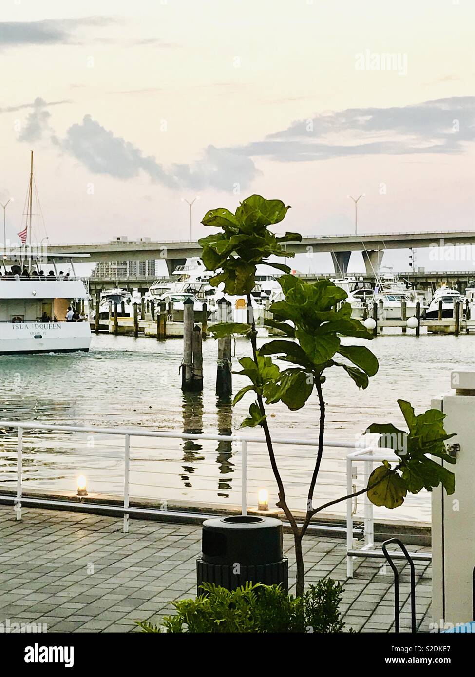 Miami Florida boats and yachts in the harbour Stock Photo - Alamy