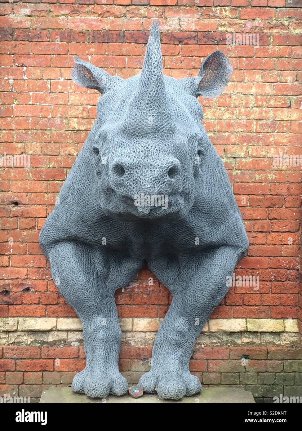 Rino hi-res stock photography and images - Alamy