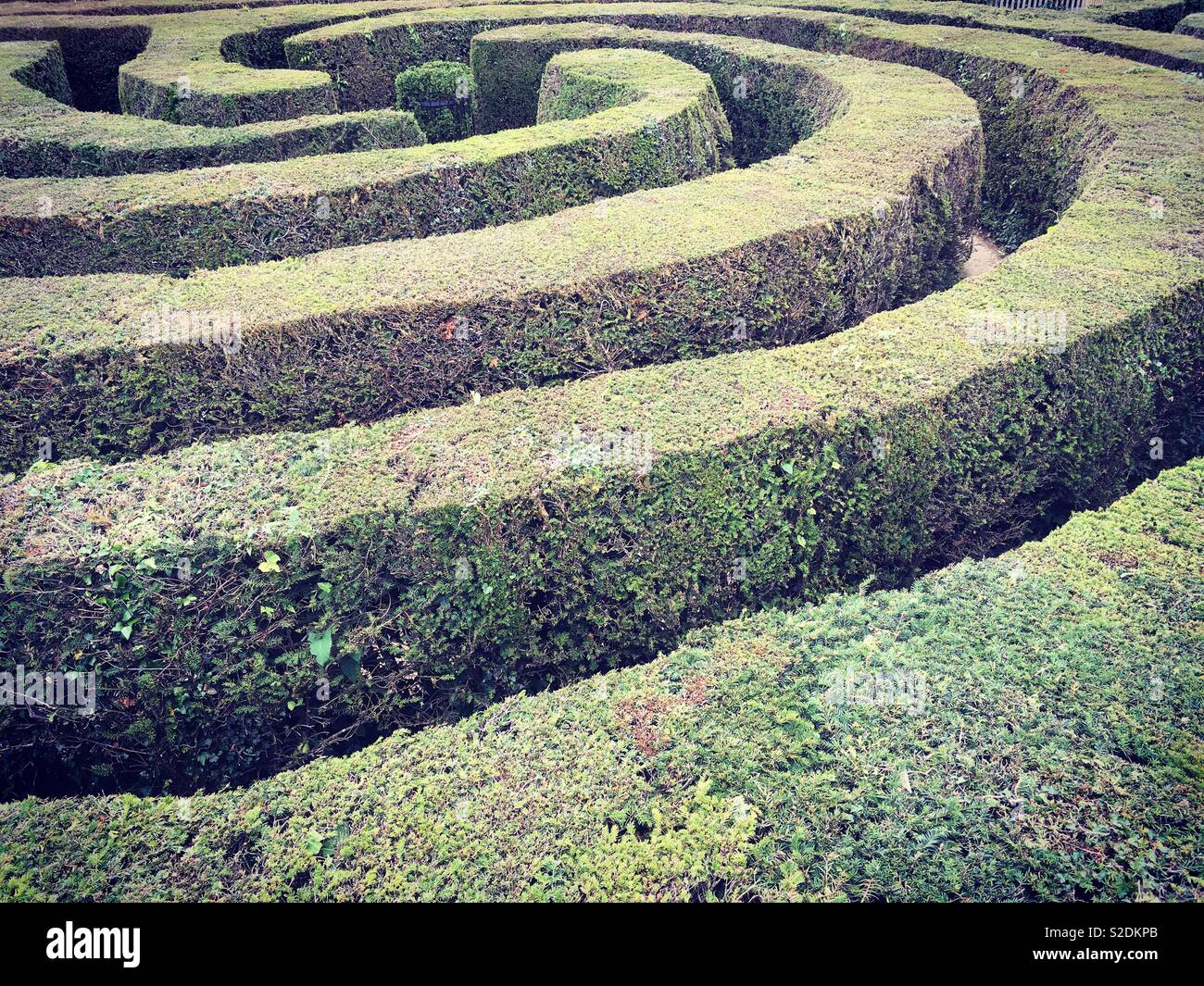 Spiral maze hi-res stock photography and images - Alamy