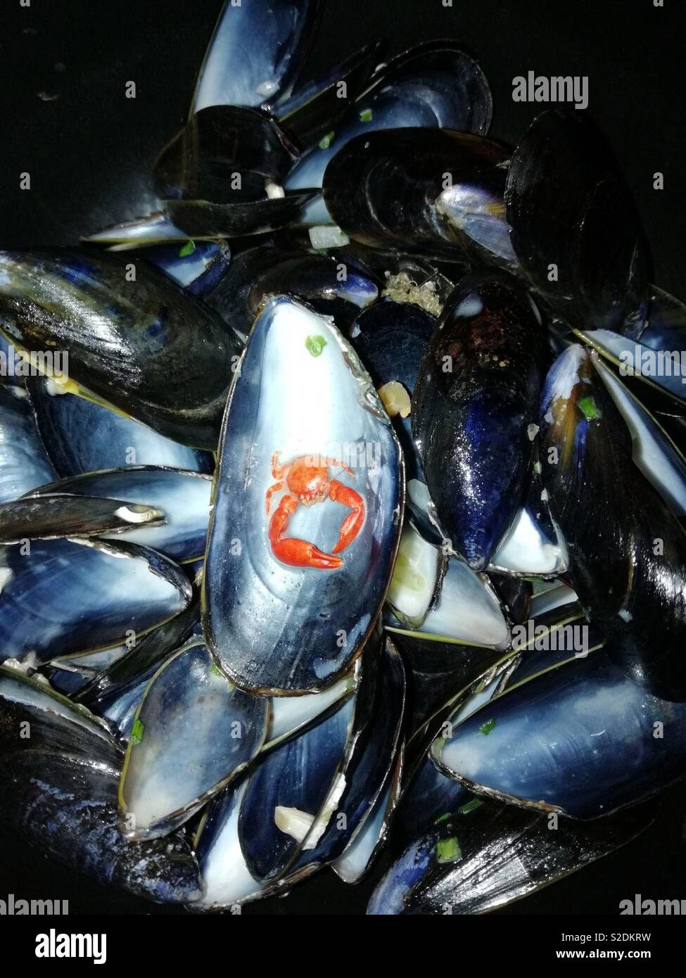 Inside mussel shell hi-res stock photography and images - Alamy