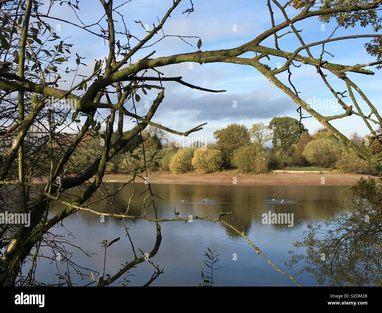 Reservoir walk in autumnal light Stock Photo - Alamy