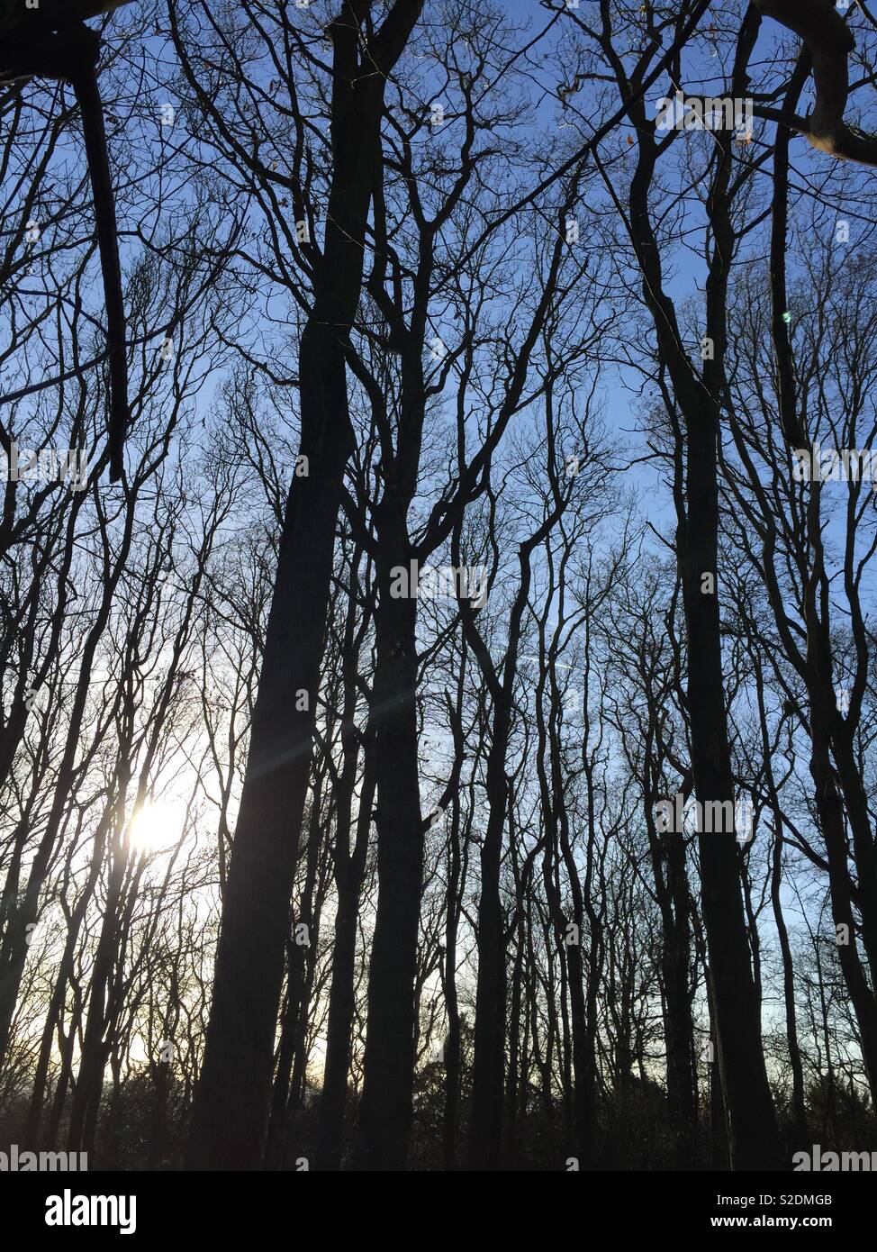 Fading sun light hi-res stock photography and images - Alamy