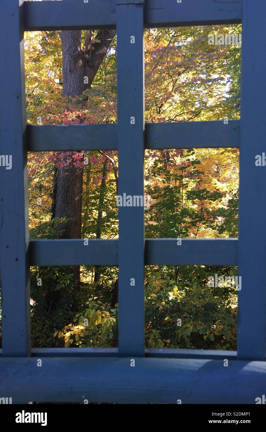 Looking through the window Stock Photo - Alamy