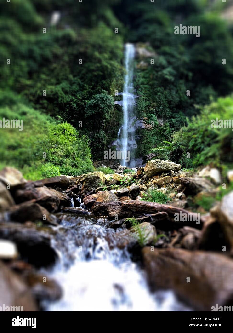 Waterfalls into a stream along the ABC trek in Nepal Stock Photo - Alamy