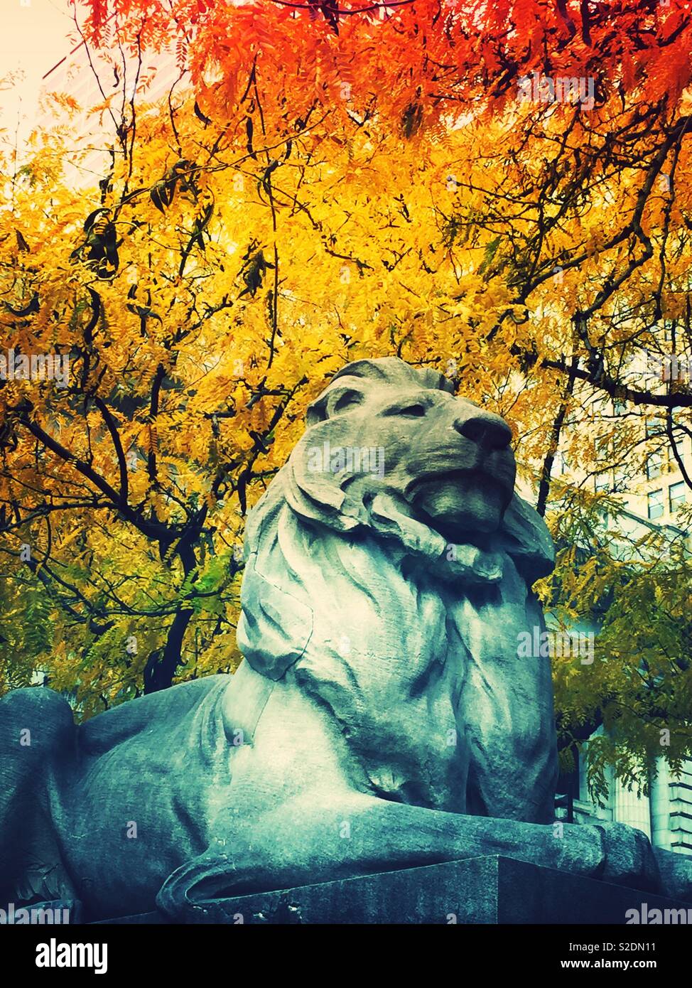 New york public library and lions hi-res stock photography and images ...