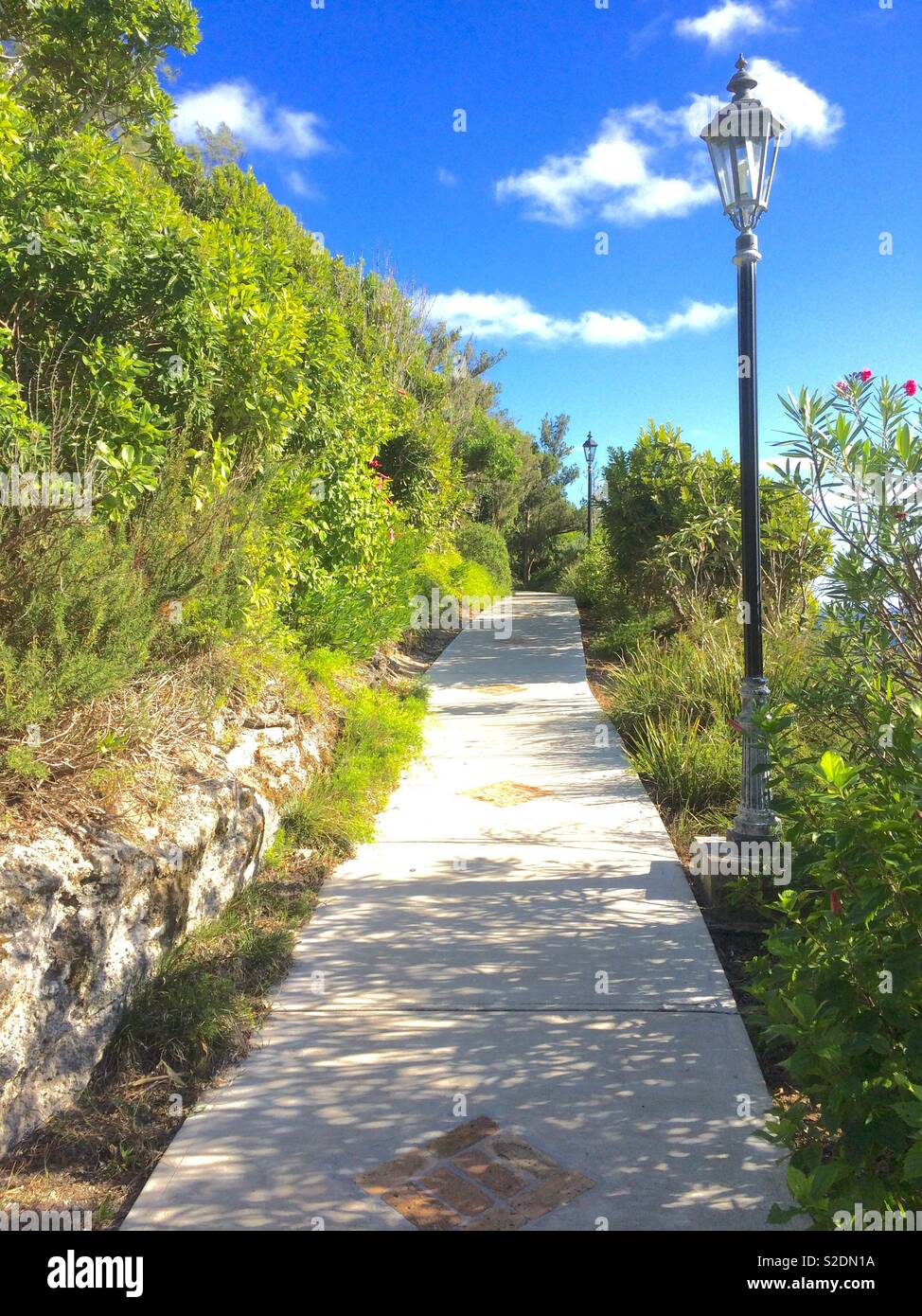Hillside and trees hi-res stock photography and images - Alamy