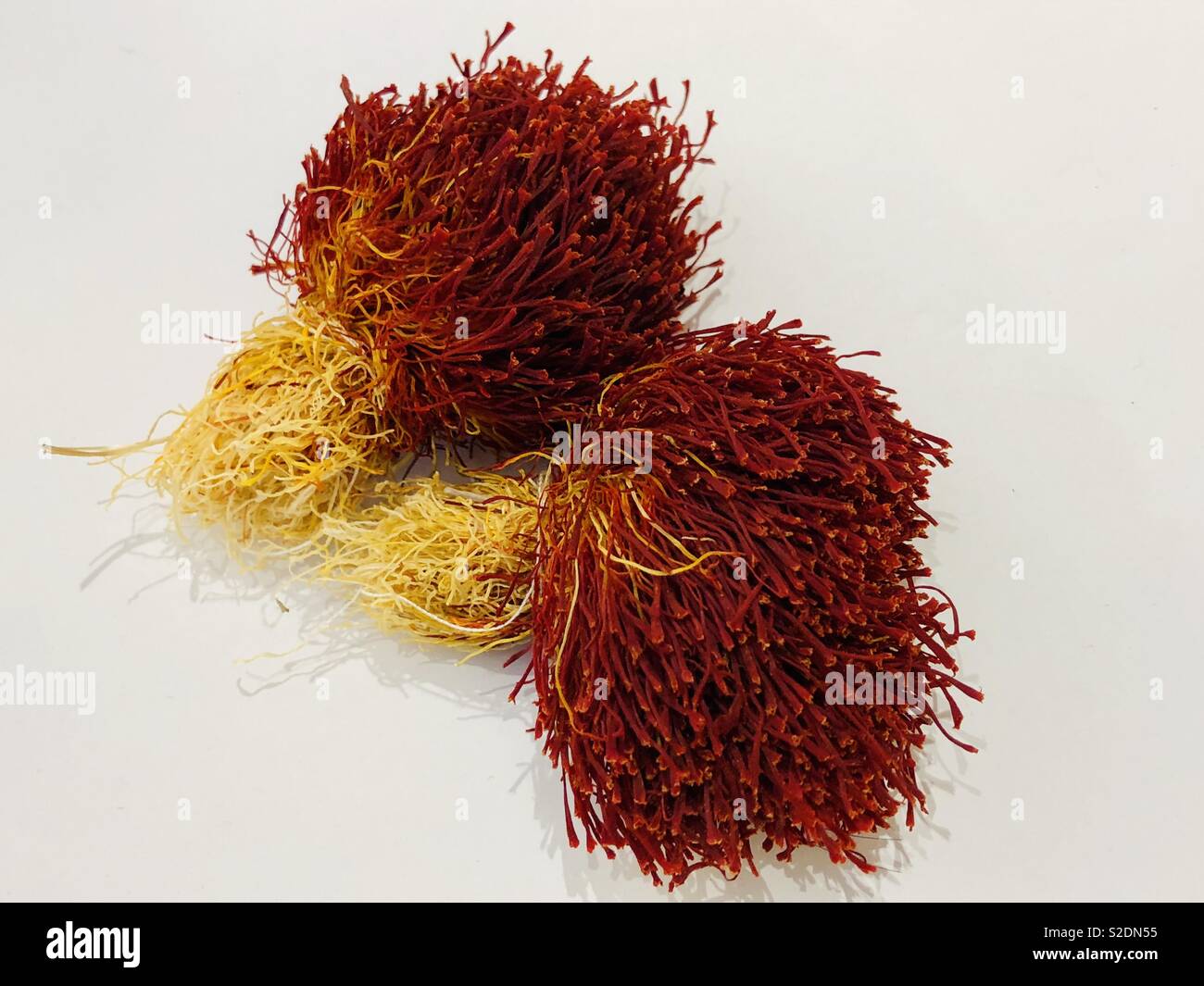 Gold Spice High Resolution Stock Photography and Images - Alamy