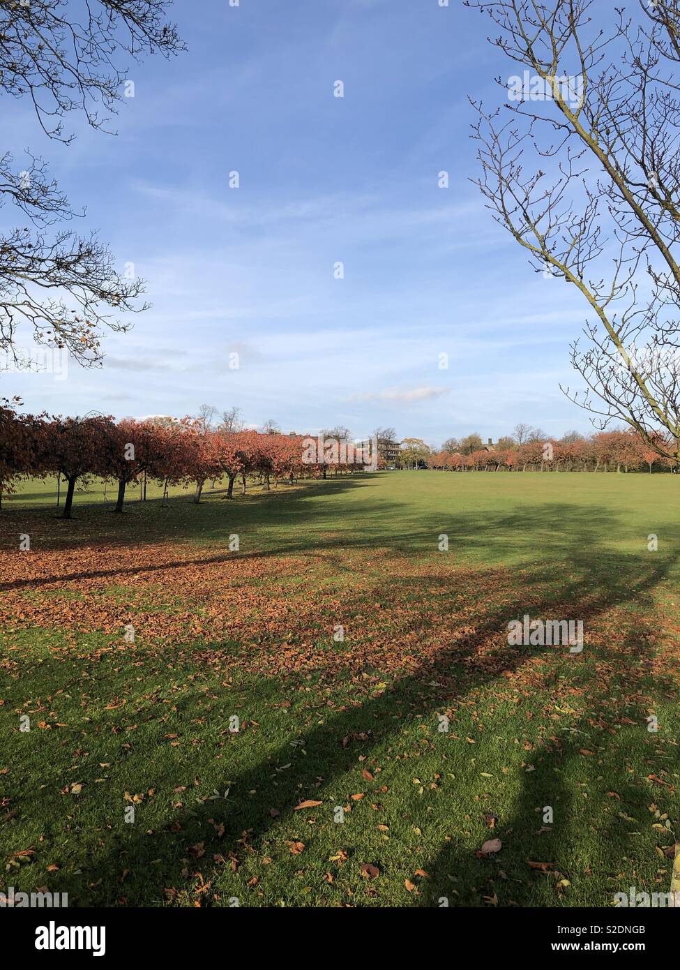 Harrogate landscape hi-res stock photography and images - Alamy