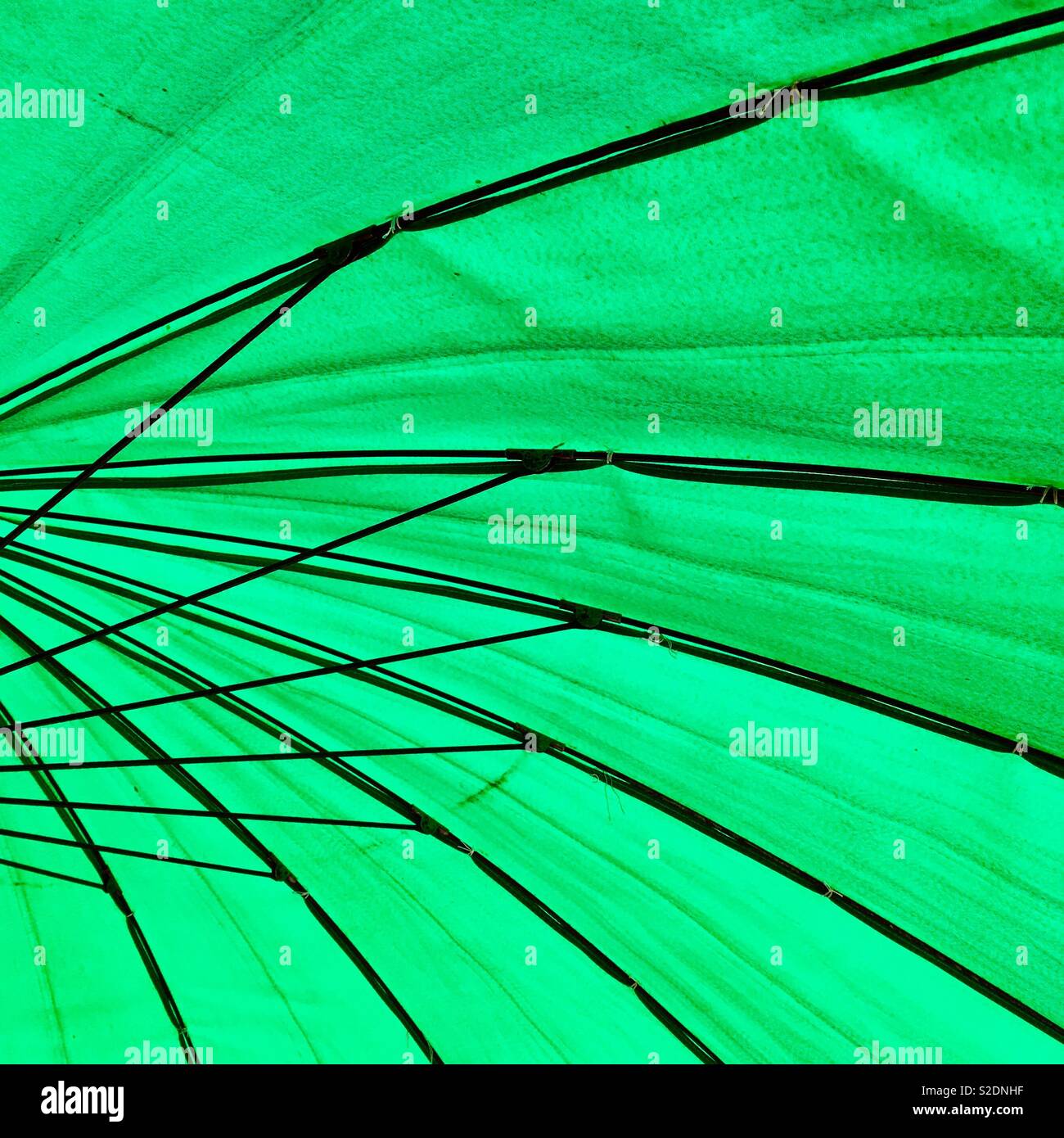 Green umbrella hi-res stock photography and images - Alamy