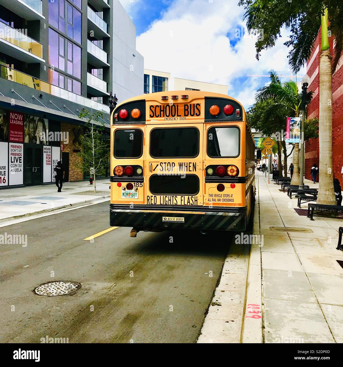 School Bus Inside Back