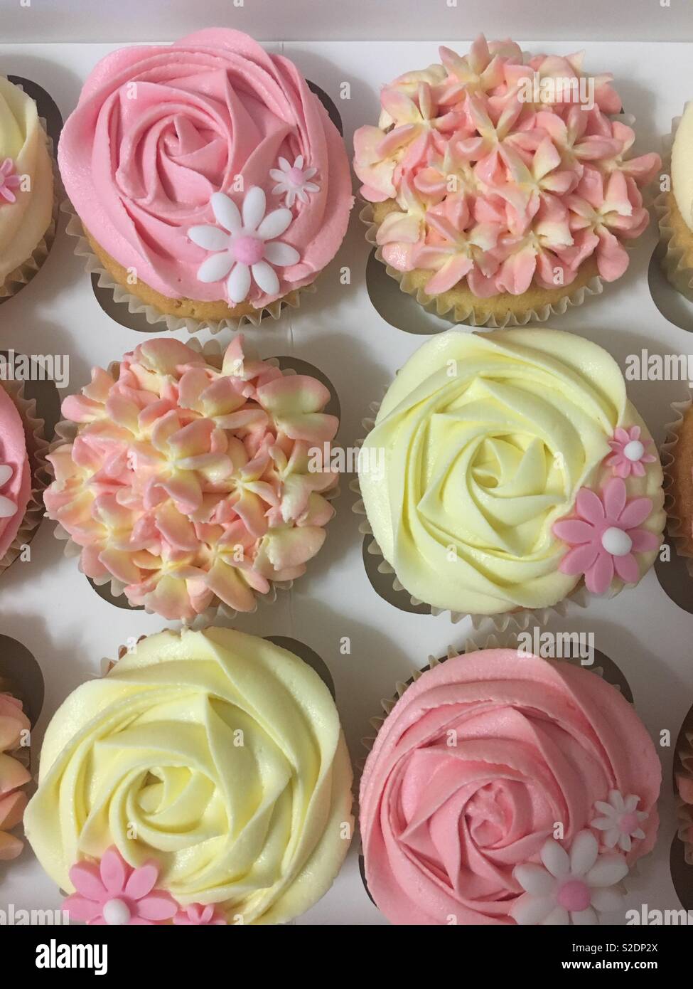 Beautiful Cupcakes Designs