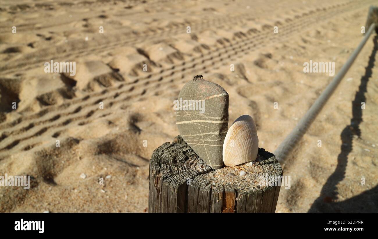 Ropeshell hi-res stock photography and images - Alamy