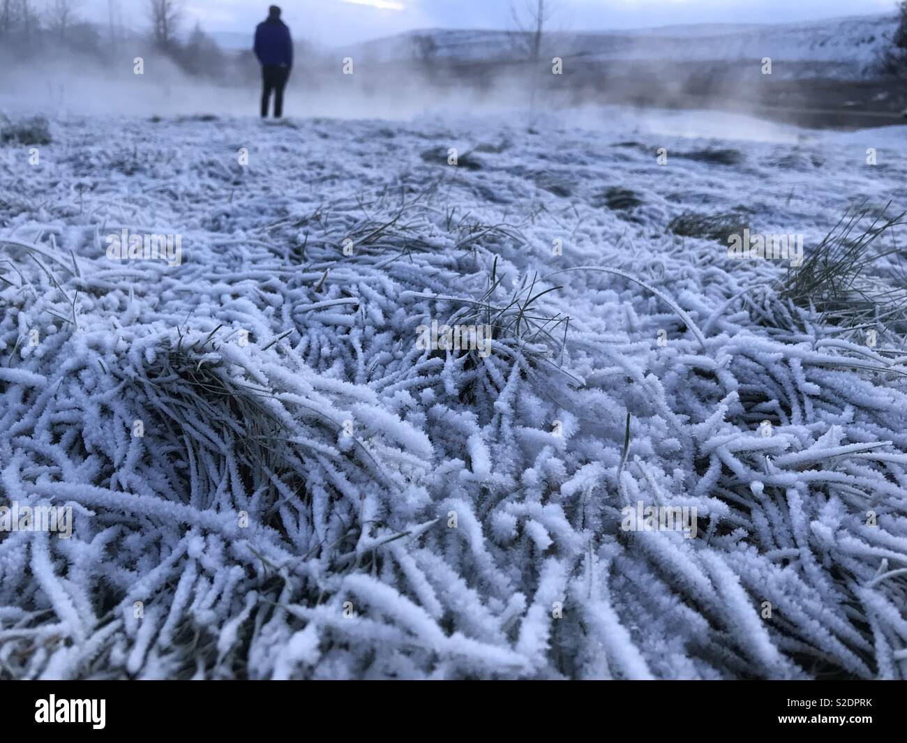 Hot and Cold, Nature at its best! Stock Photo - Alamy